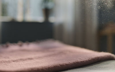 Electrolux Fine Particle Filter EF161 - Bing Lee - Bing Lee