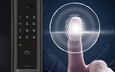 DDL Black Smart 3D Facial Recognition Smart Door Lock DDL-P6006S - Bing ...